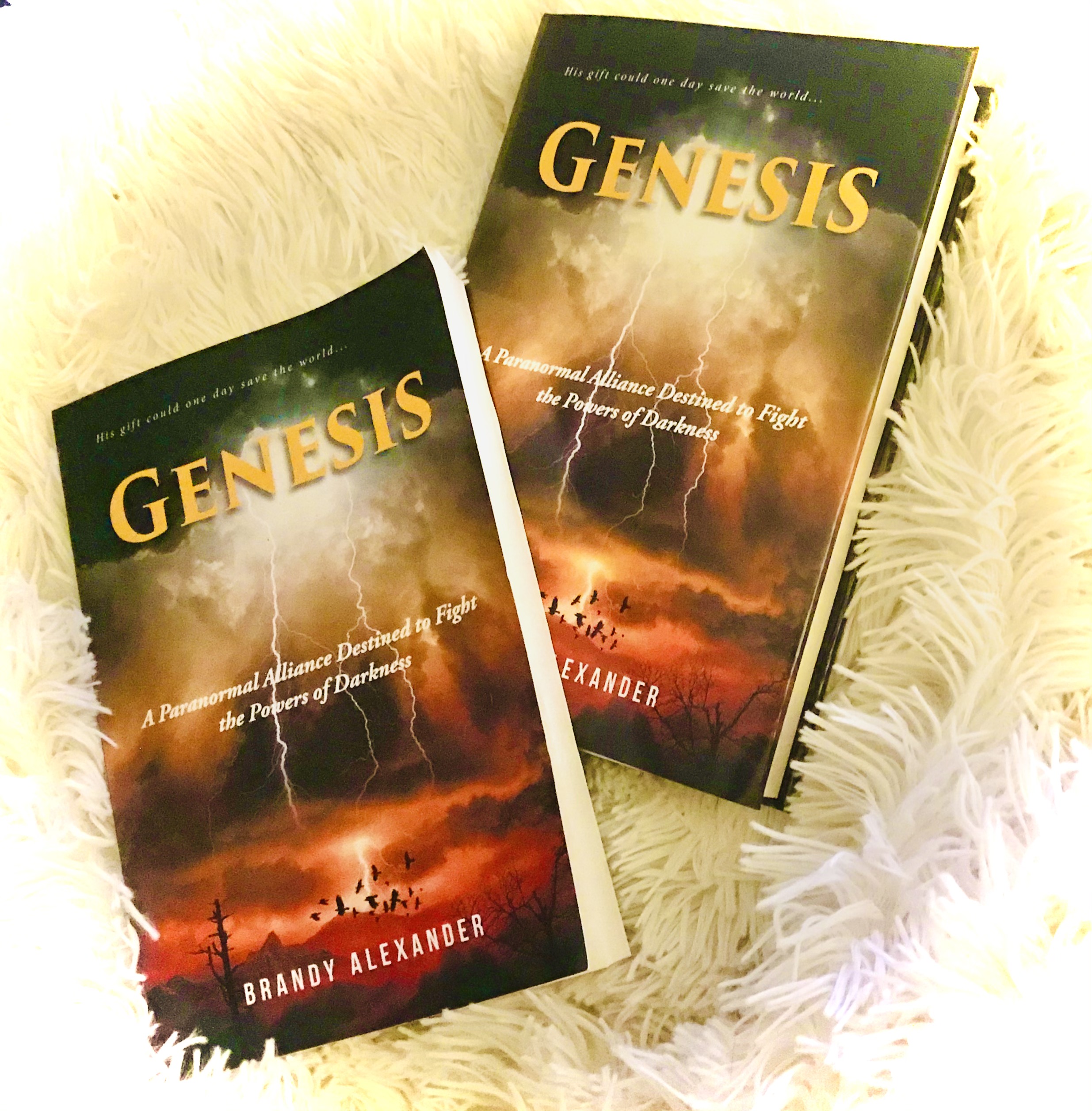 Brandy Alexander Books – Follow your imagination; it can take you anywhere!